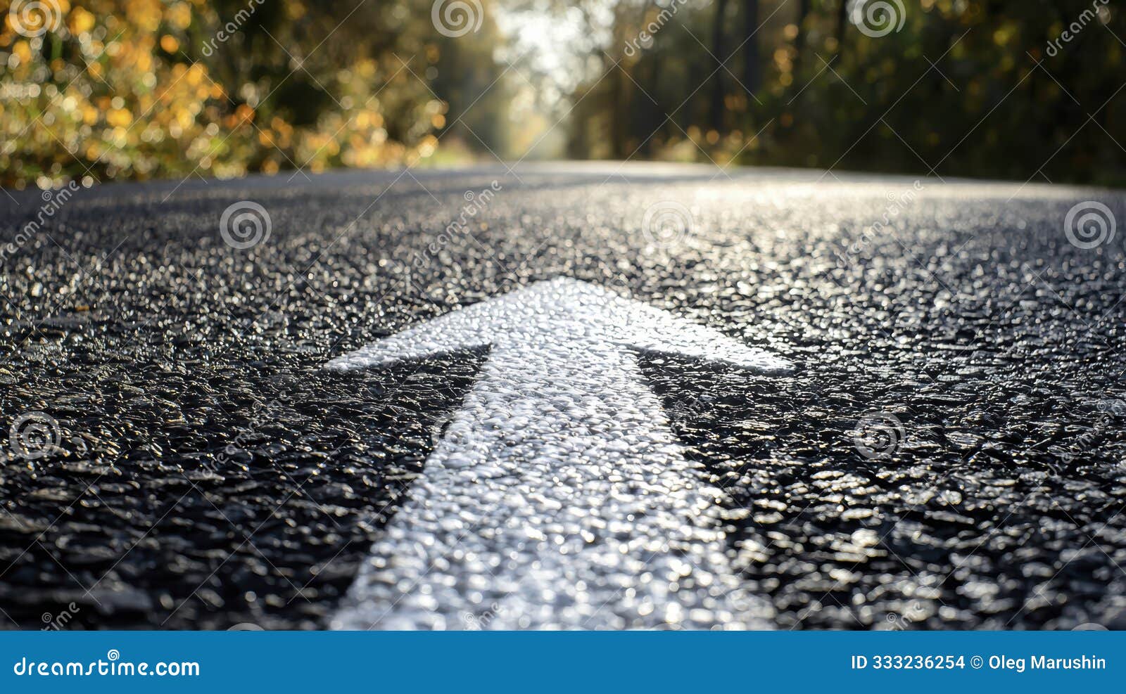 An Asphalt Road with an Arrow Painted on it Symbolizes Growth ...
