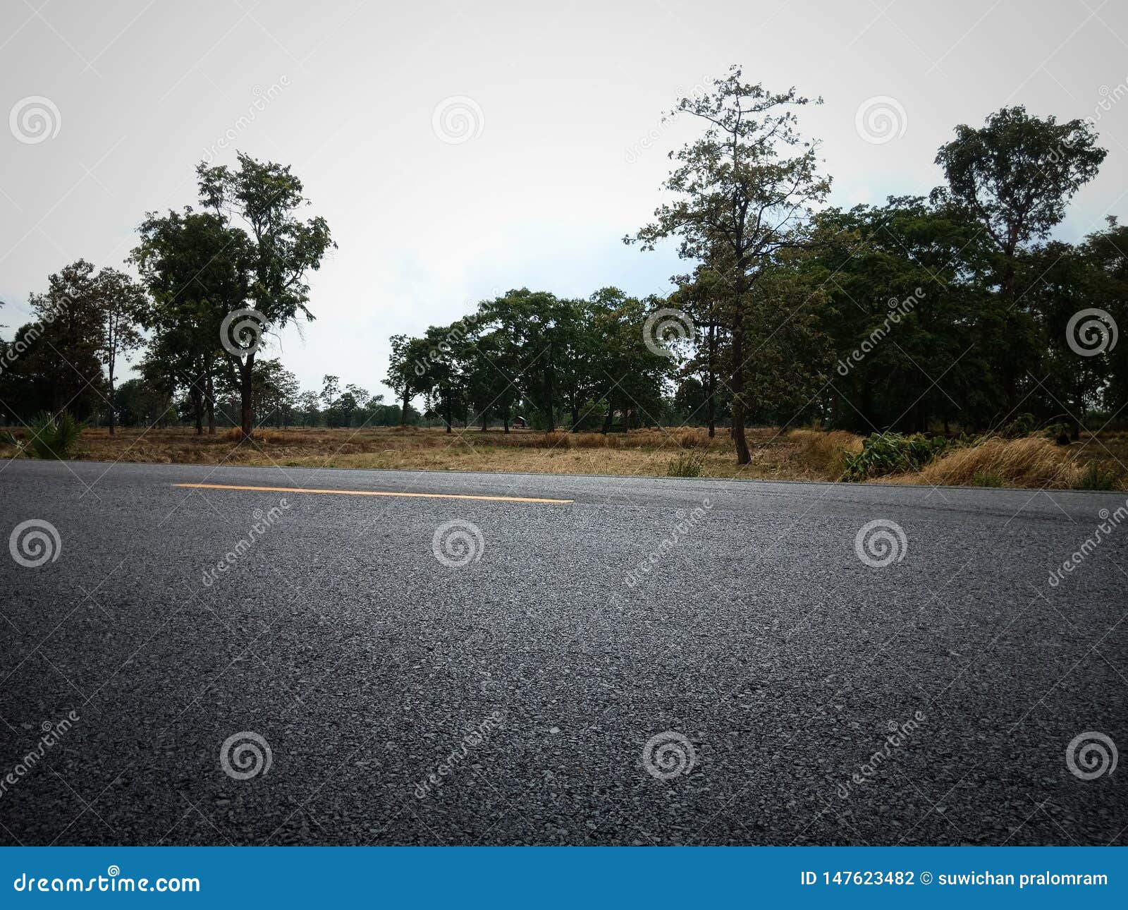 Asphalt Road stock photo. Image of pattern, line, route - 147623482