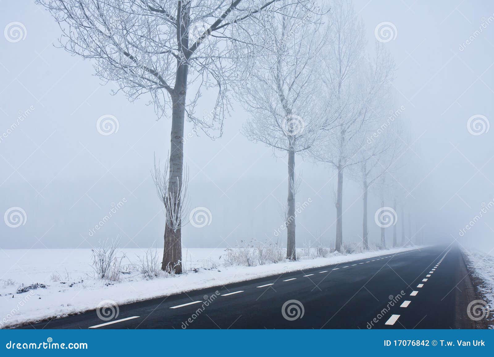Asphalt Road Disappearing in Winter Haze Stock Photo - Image of outdoor ...