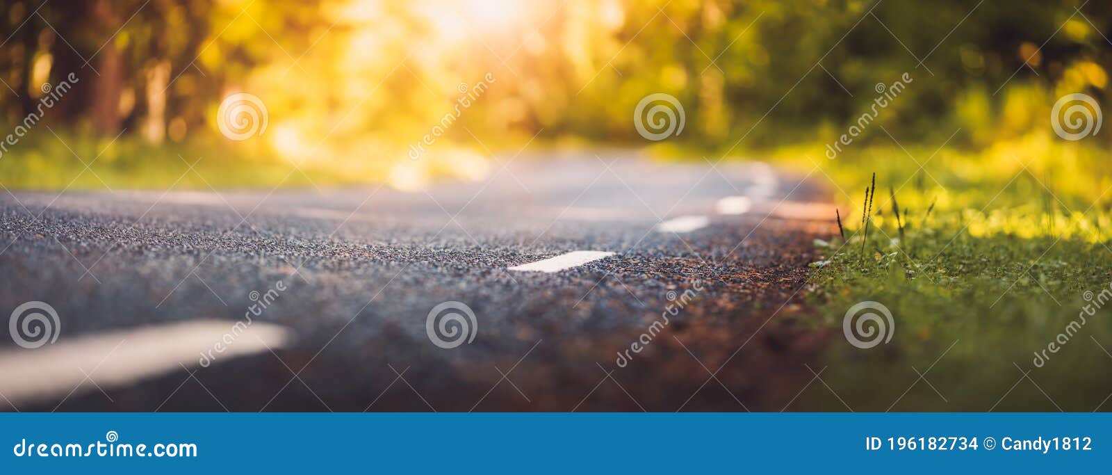 Asphalt Road and Dividing Lines in the Forest Stock Photo - Image of ...