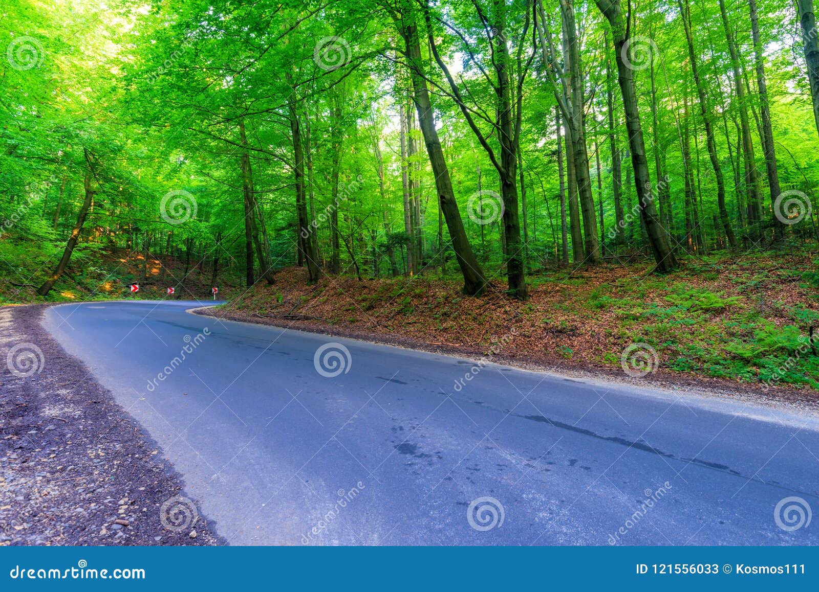 Asphalt road in the forest stock image. Image of rural - 121556033