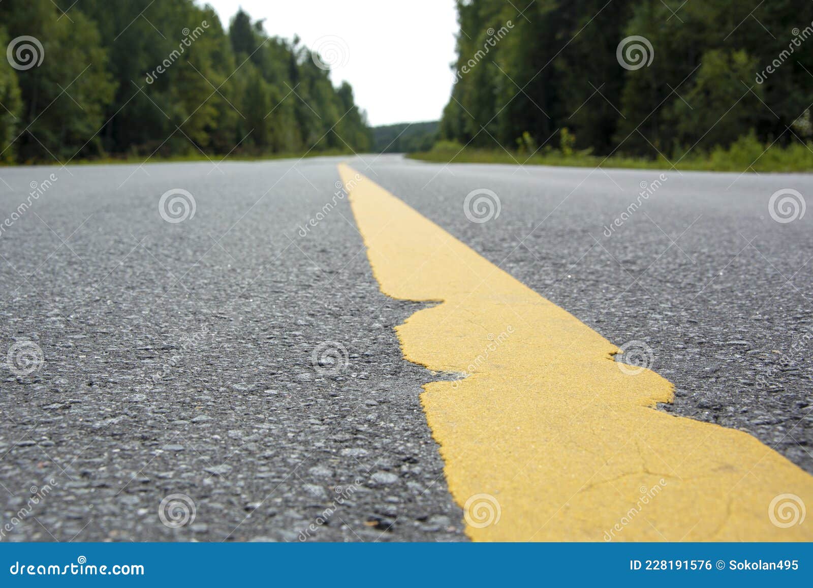 Asphalt Road in the Forest. Yellow Markings on the Track Stock Photo ...