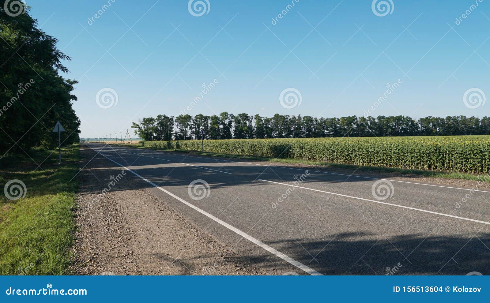 Asphalt Road through the Green Field in Summer Day Stock Photo - Image ...