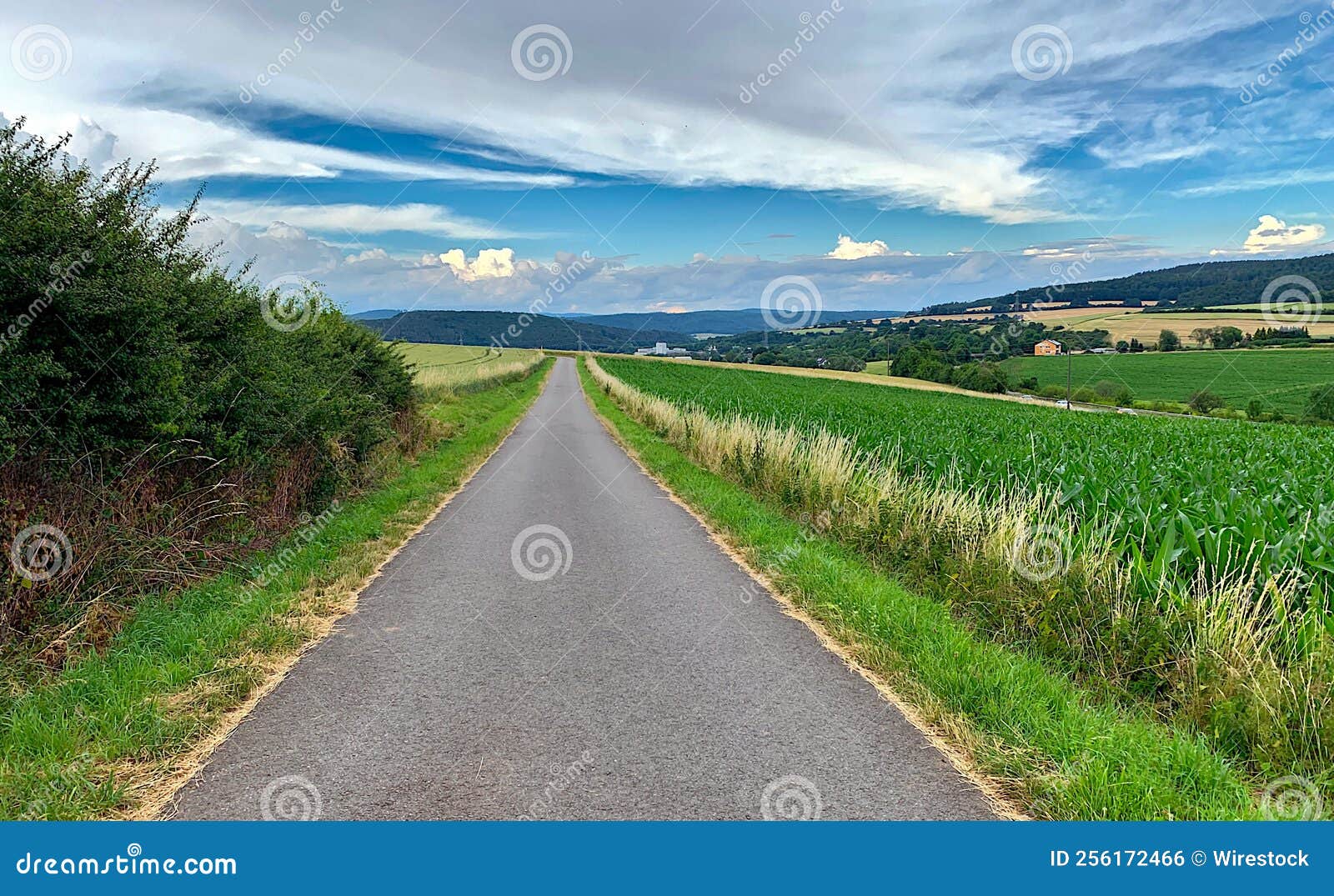 Asphalt Road between Green Grass and Trees Stock Photo - Image of ...