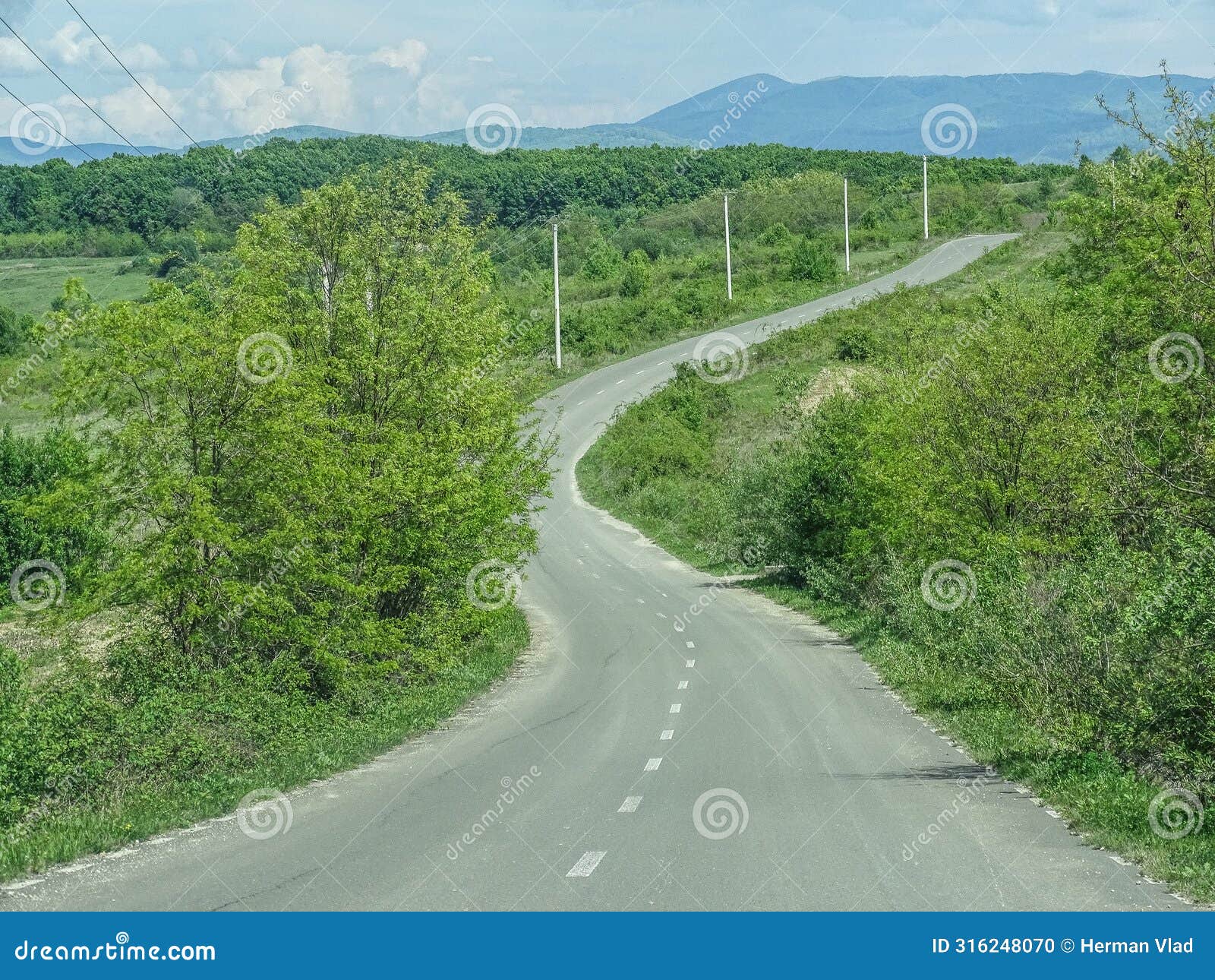 Asphalt Road and Green Trees in Romania Stock Photo - Image of trees ...
