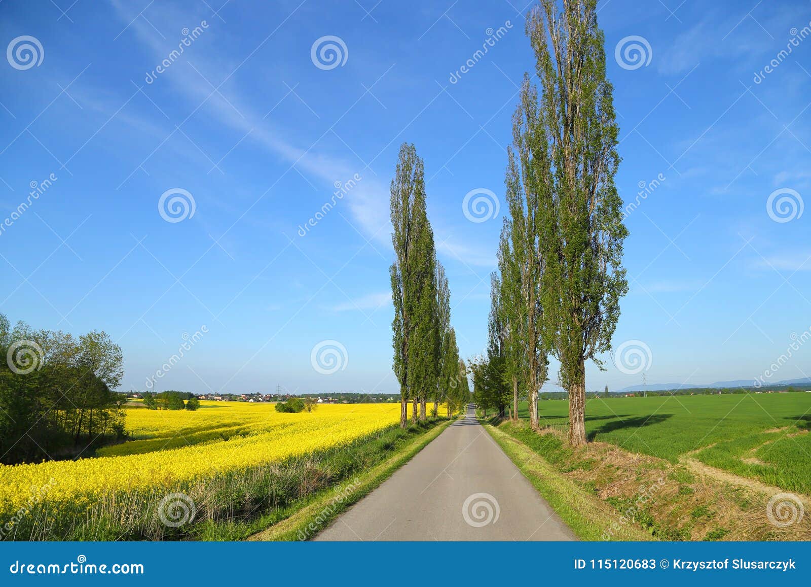 Fields in spring. stock image. Image of landscape, meadow - 115120683