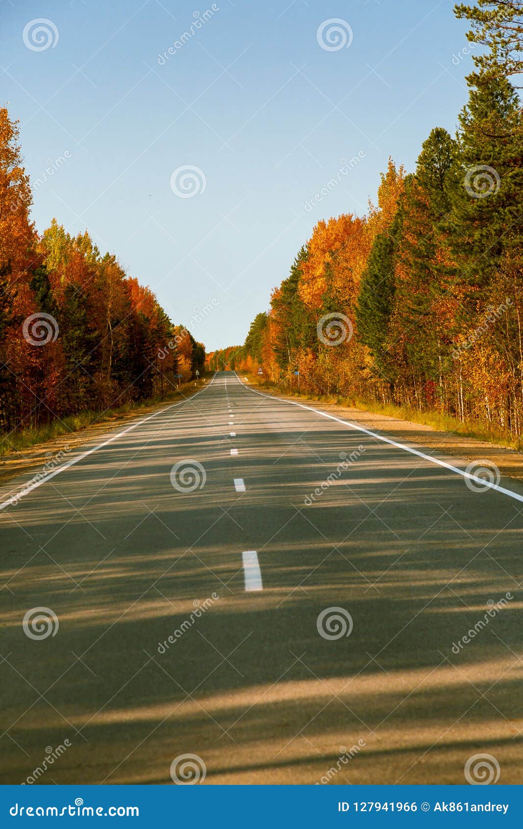 Asphalt Road with Intermittent Dividing Strip Along the Autumn Forest ...