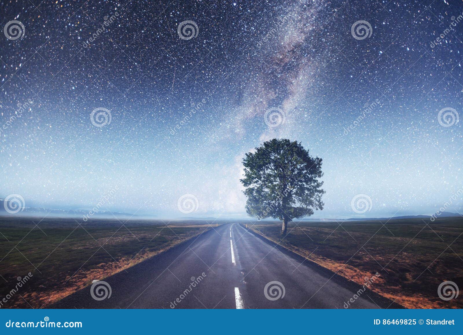 Asphalt Road and Lonely Tree Under a Starry Night Sky Stock Image ...