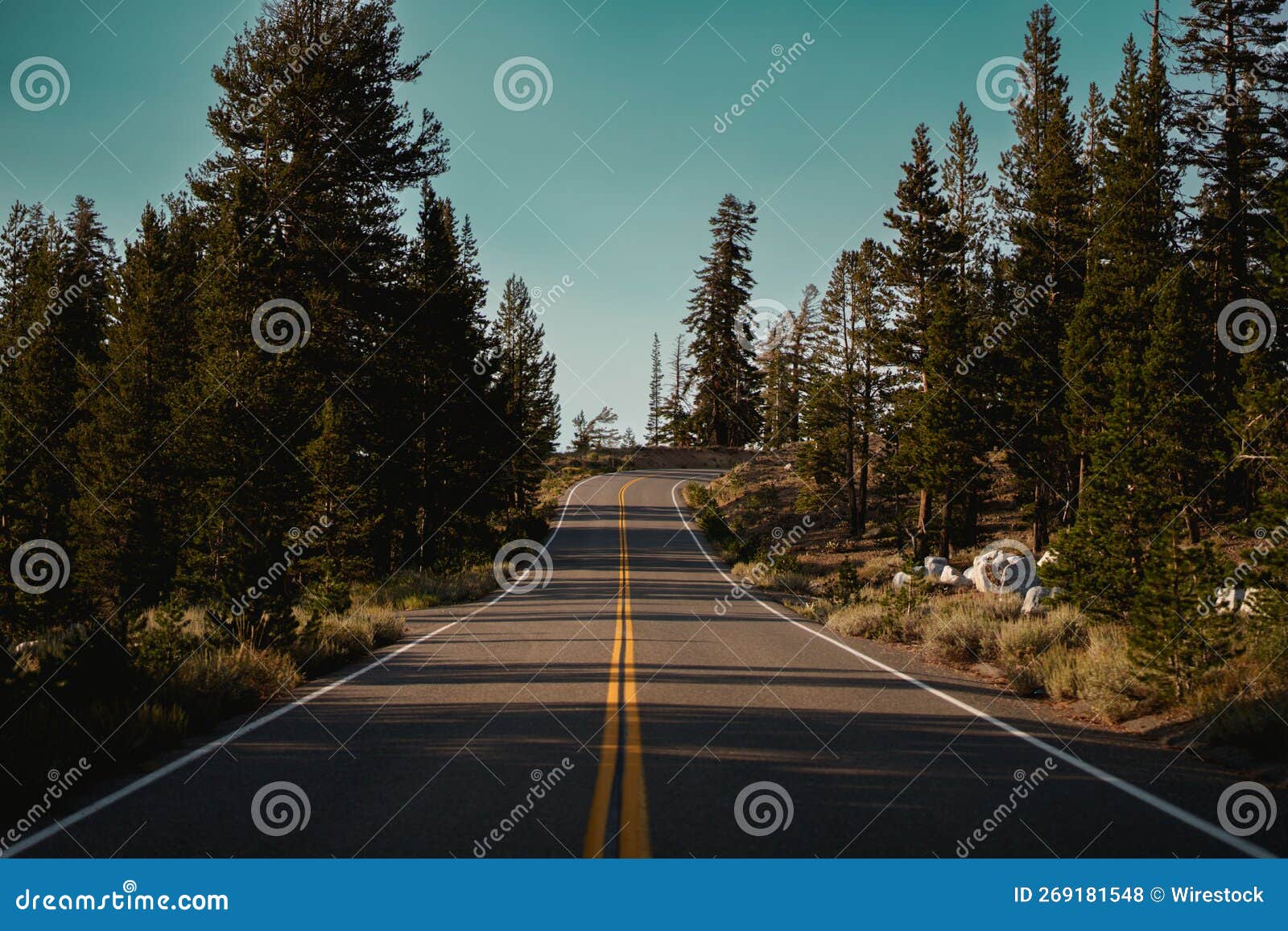 Asphalt Road Passing through a Forest with Leafy Trees Shedding Their ...