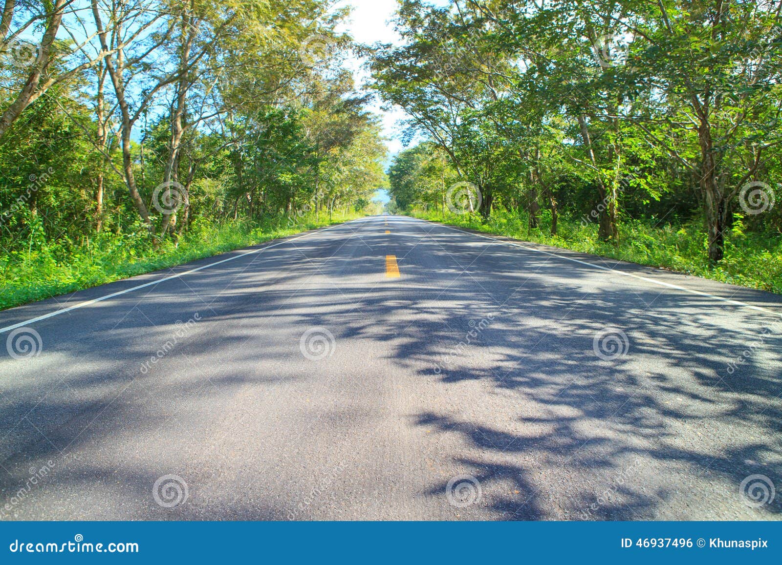 Asphalt Road Perspective To Forest Stock Photo - Image of high, land ...