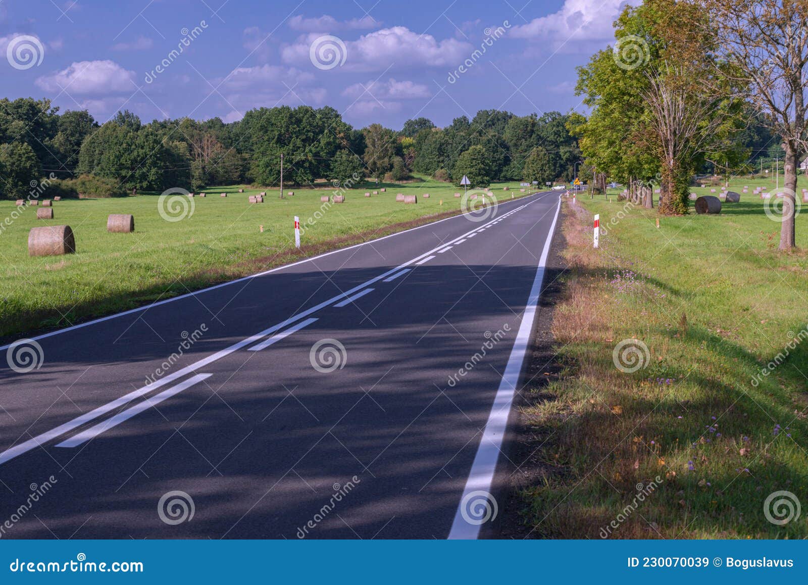 Asphalt Road through a Plain Covered with Meadows. Stock Image - Image ...