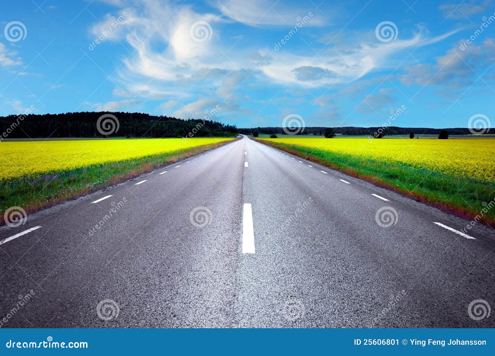 Asphalt road in field stock image. Image of beauty, perspective - 25606801