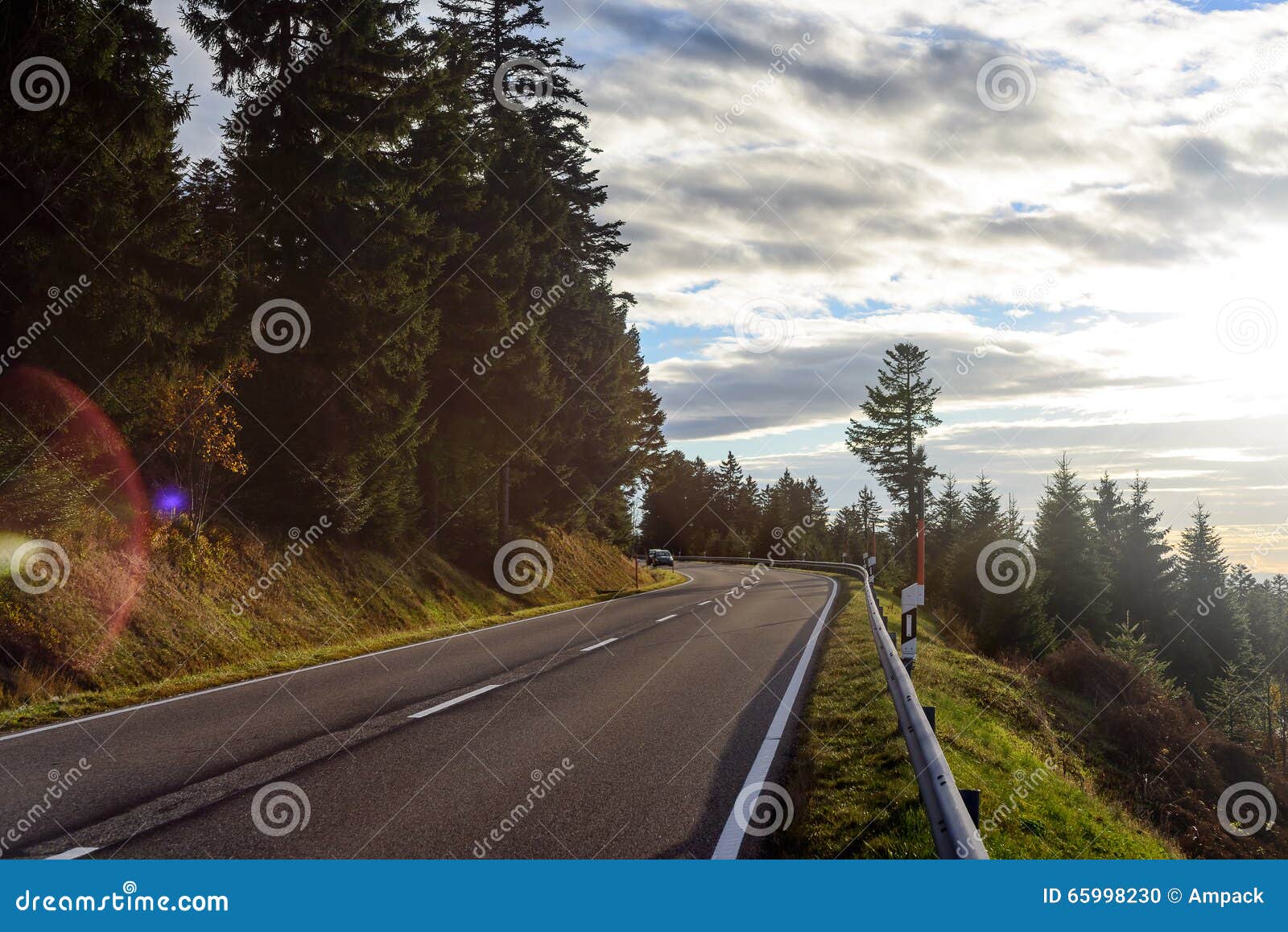 Asphalt Road Running Along the Slope Overgrown with Coniferous Forest ...