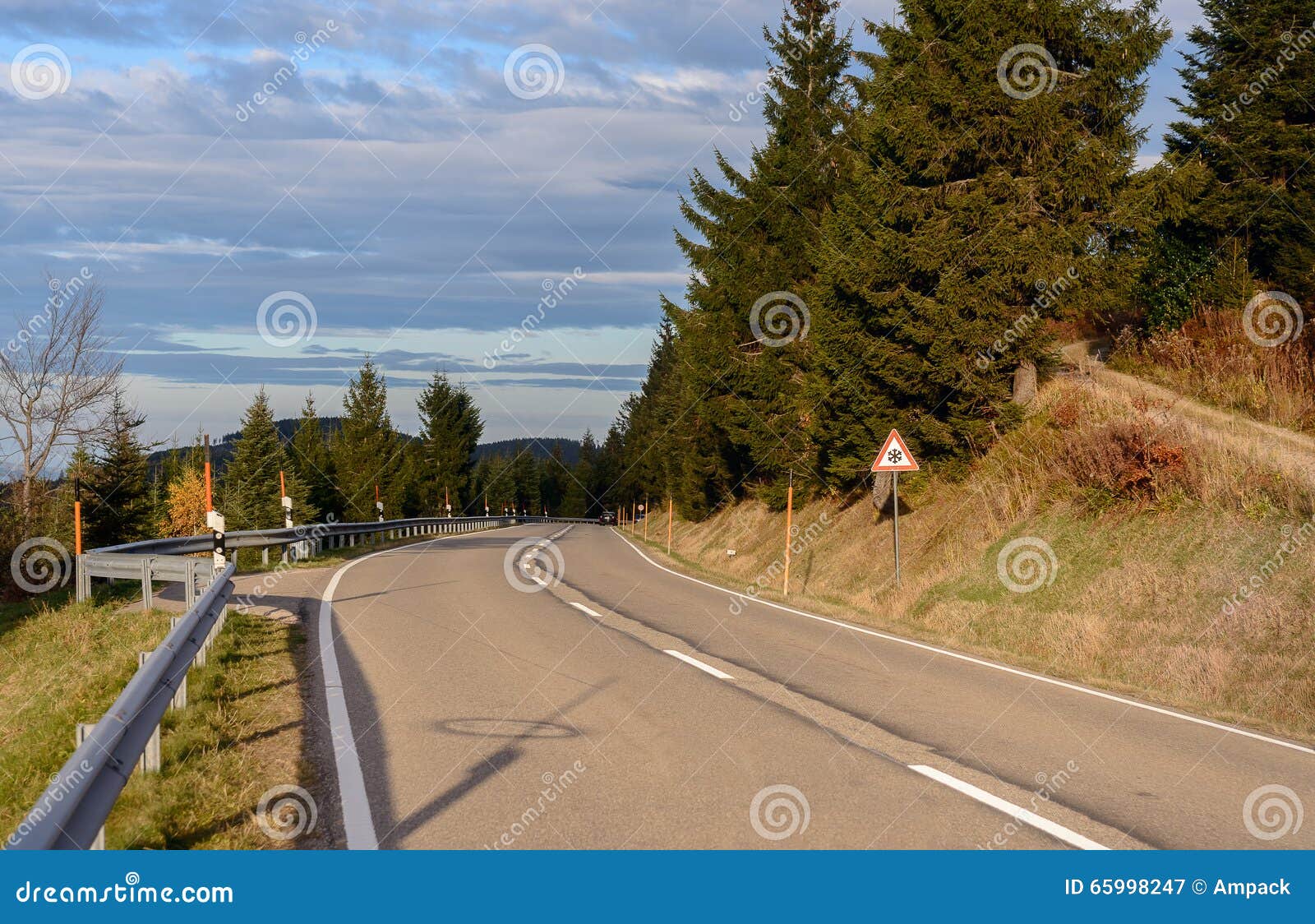 Asphalt Road Running Along the Slope Overgrown with Coniferous Forest ...