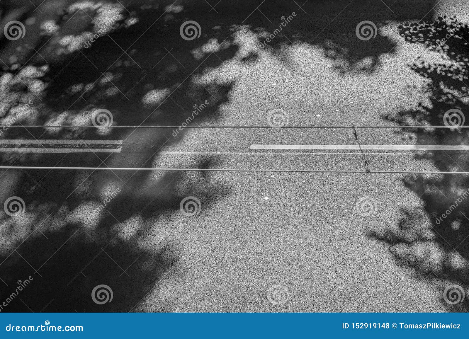 Asphalt Road and Shadow of Trees. Stock Photo - Image of asphalt ...