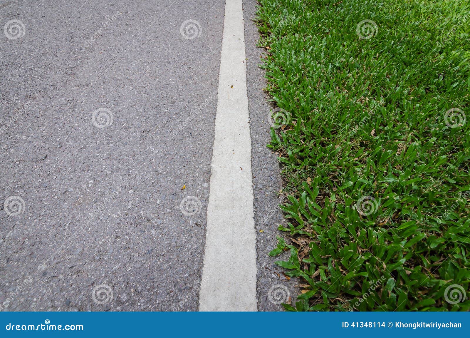 Asphalt Road with Strip Line and Green Grass Stock Photo - Image of ...