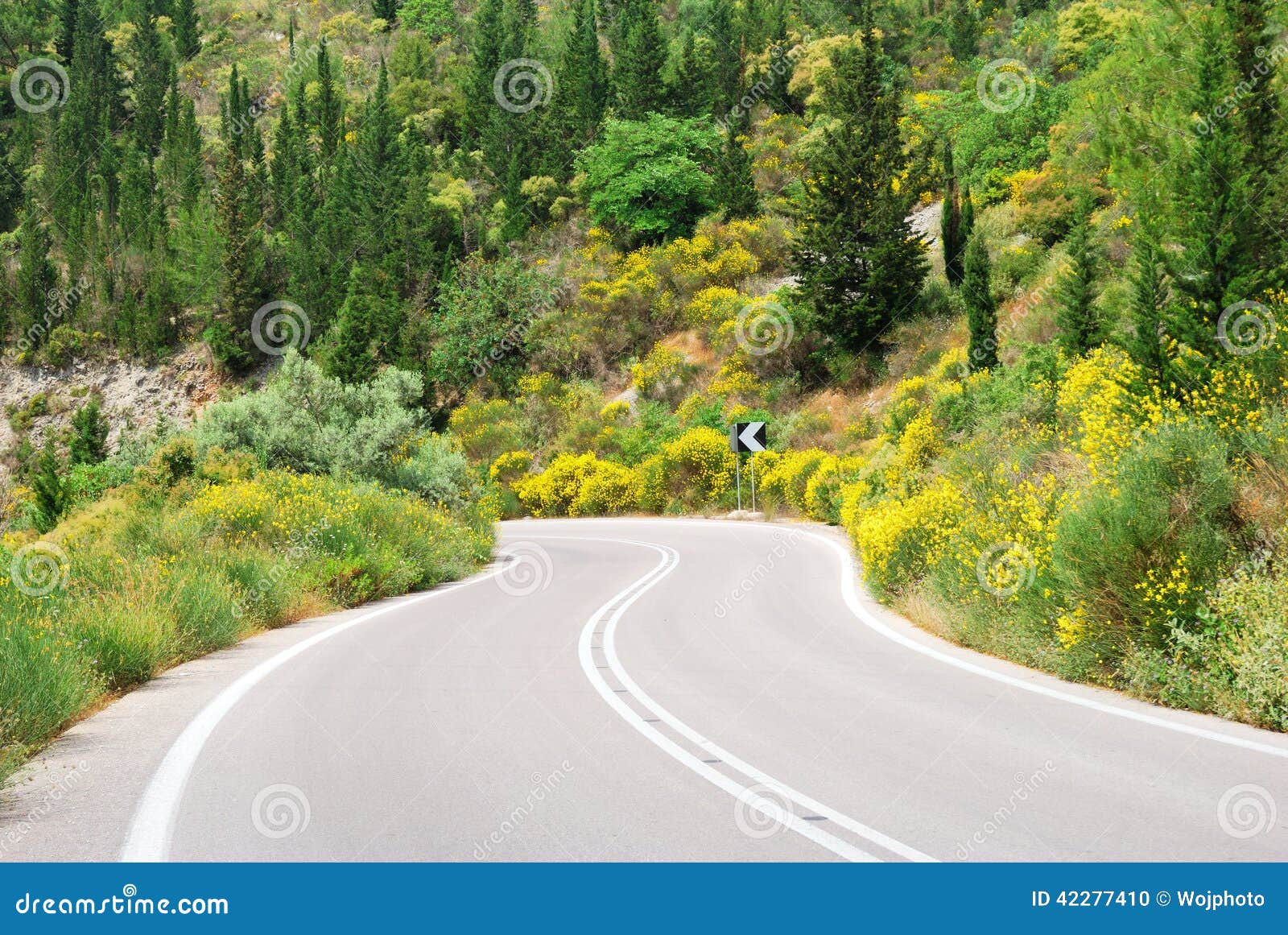 Asphalt Road Winding through Flower Hills Stock Photo - Image of green ...