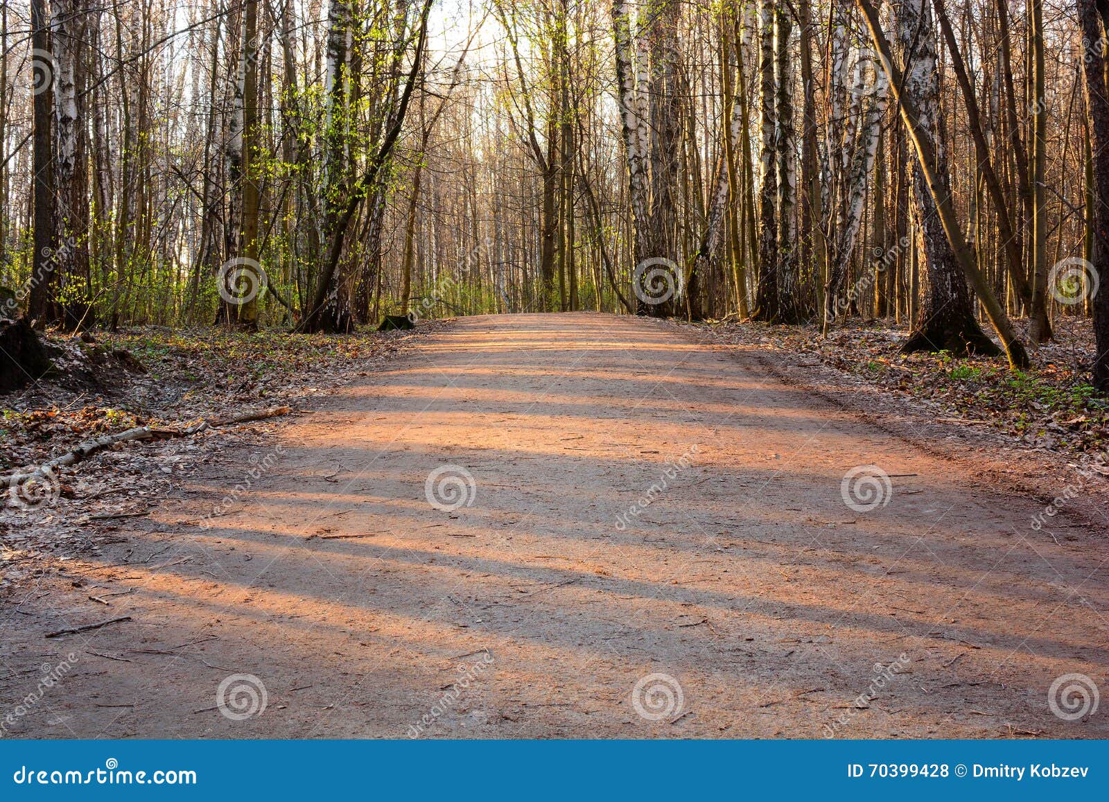 Asphalt Road in a Wooded Area Stock Photo - Image of background, april ...