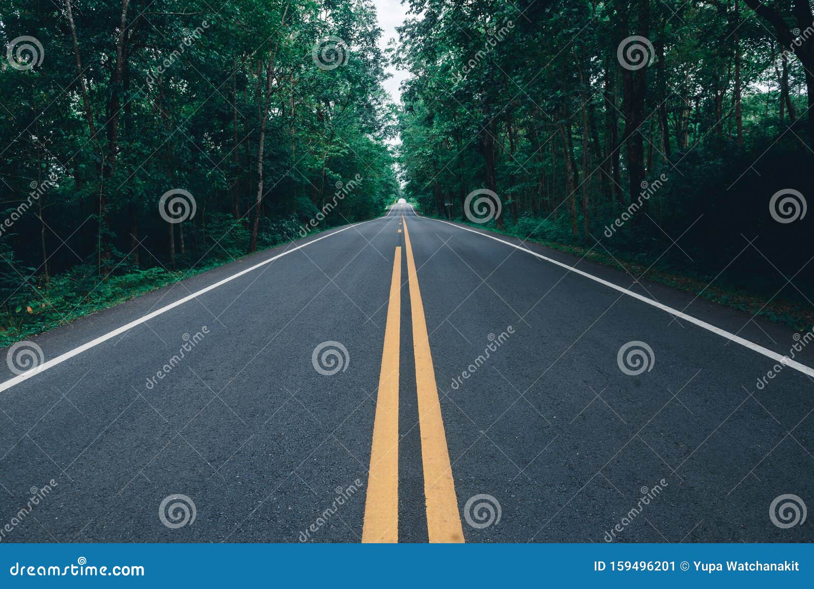 Asphalt Road with Yellow Diving Line Stock Image - Image of drive ...