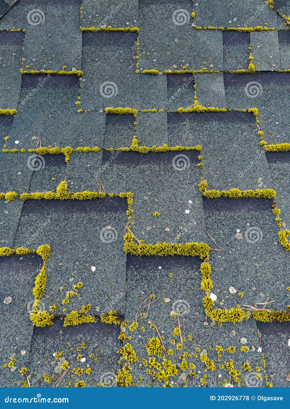 Asphalt Roofing in a Symmetrical Pattern. Composite Shingle. Repeating ...