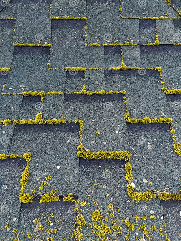 Asphalt Roofing in a Symmetrical Pattern. Composite Shingle. Repeating ...