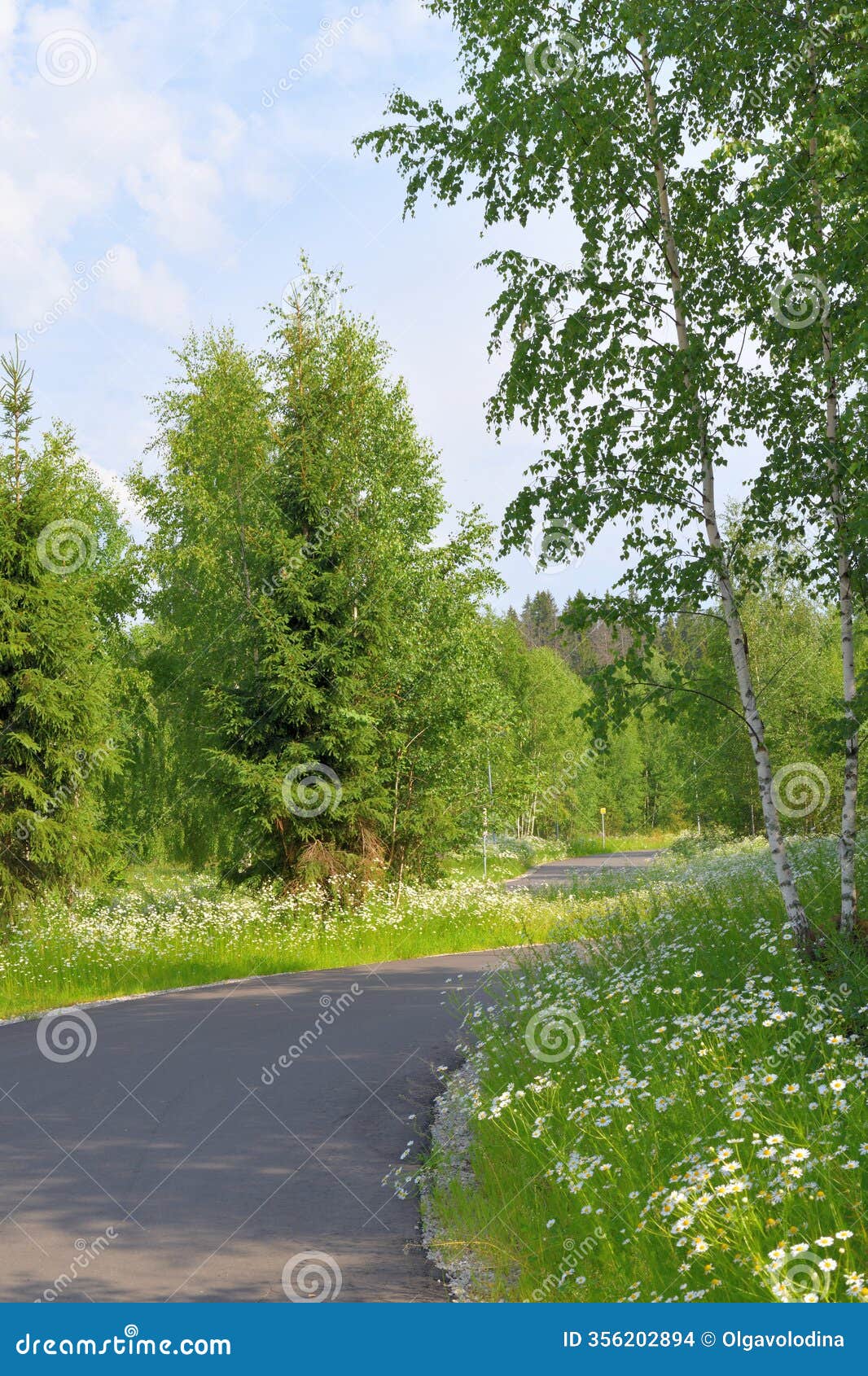 Asphalt Running Track in the Nature Stock Photo - Image of recreacion ...
