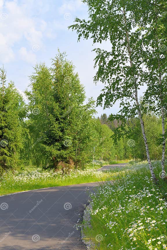Asphalt Running Track in the Nature Stock Photo - Image of recreacion ...
