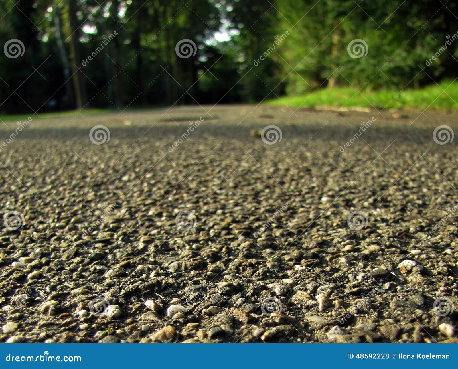 Asphalt street scenery stock photo. Image of speed, forest - 48592228