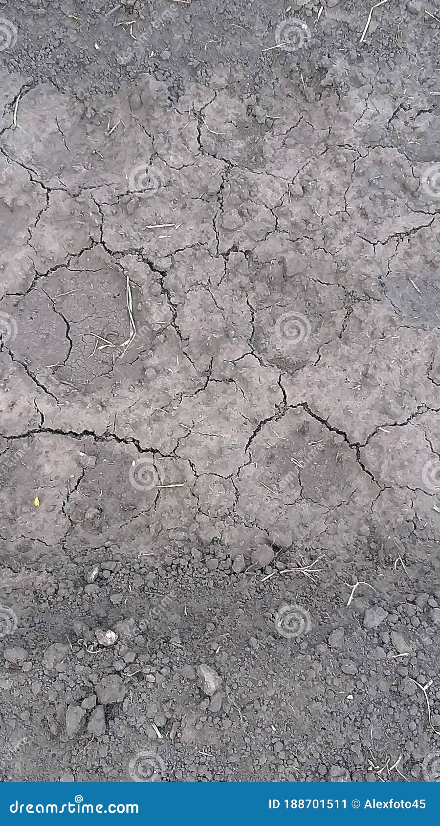 Asphalt Texture for Design and Layout Stock Image - Image of cement ...