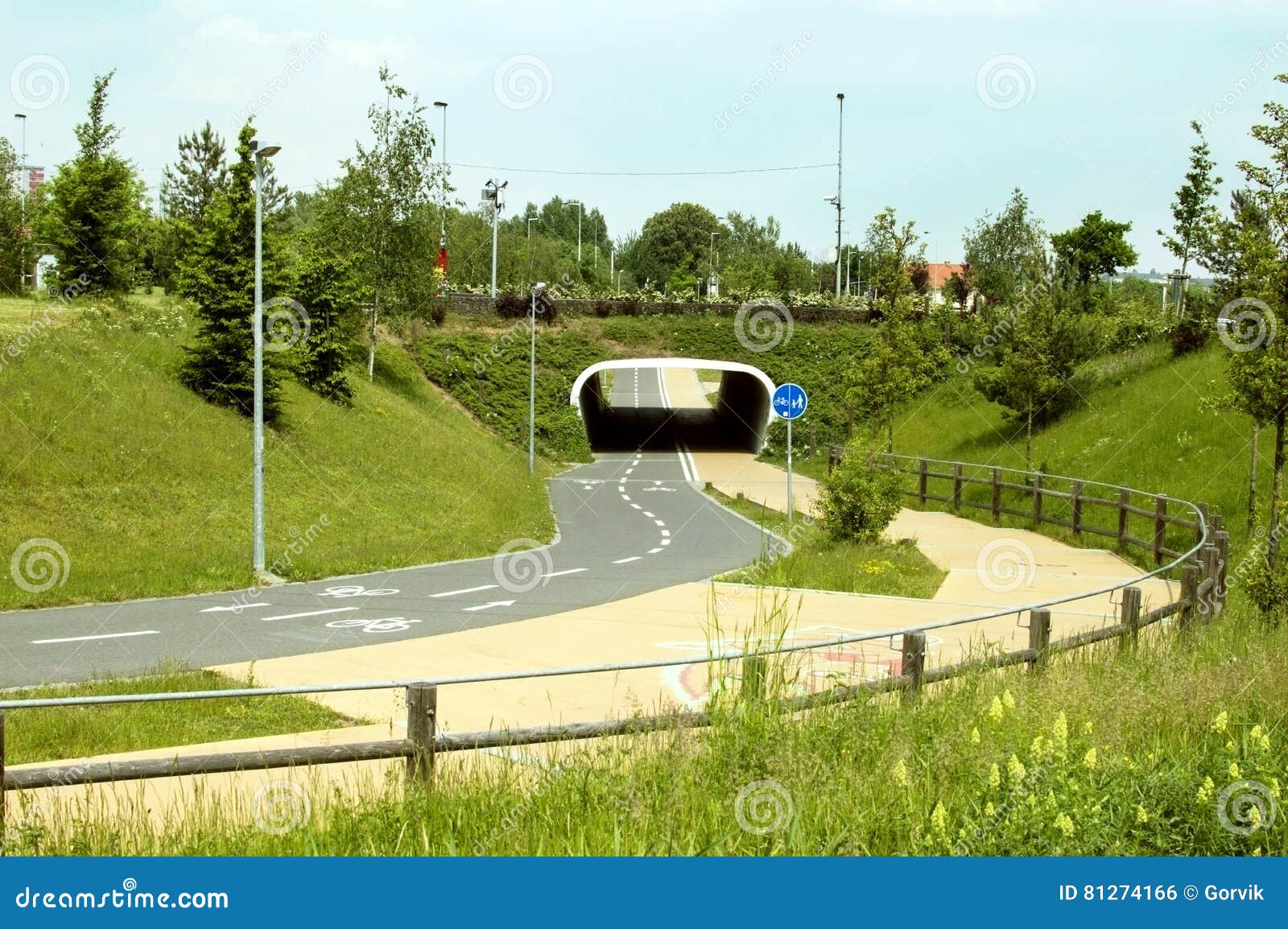 Asphalt Track for Driving on a Bicycle Stock Photo - Image of trees ...