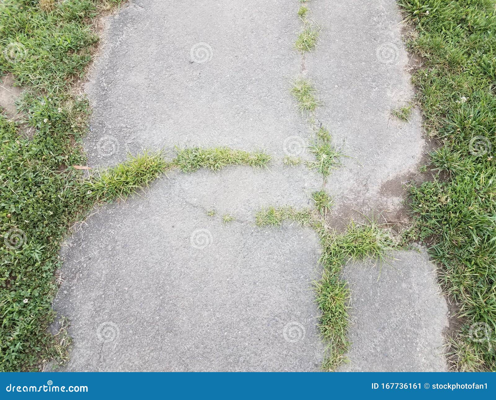 Asphalt Trail or Path with Green Grass Stock Image - Image of yard ...