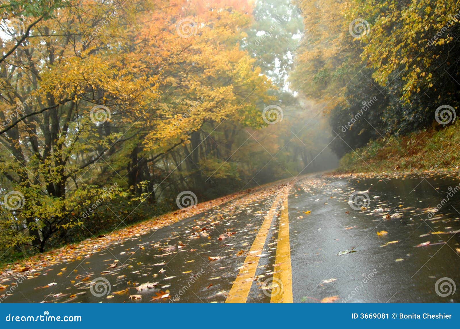198 Fall Splits Stock Photos - Free & Royalty-Free Stock Photos from ...