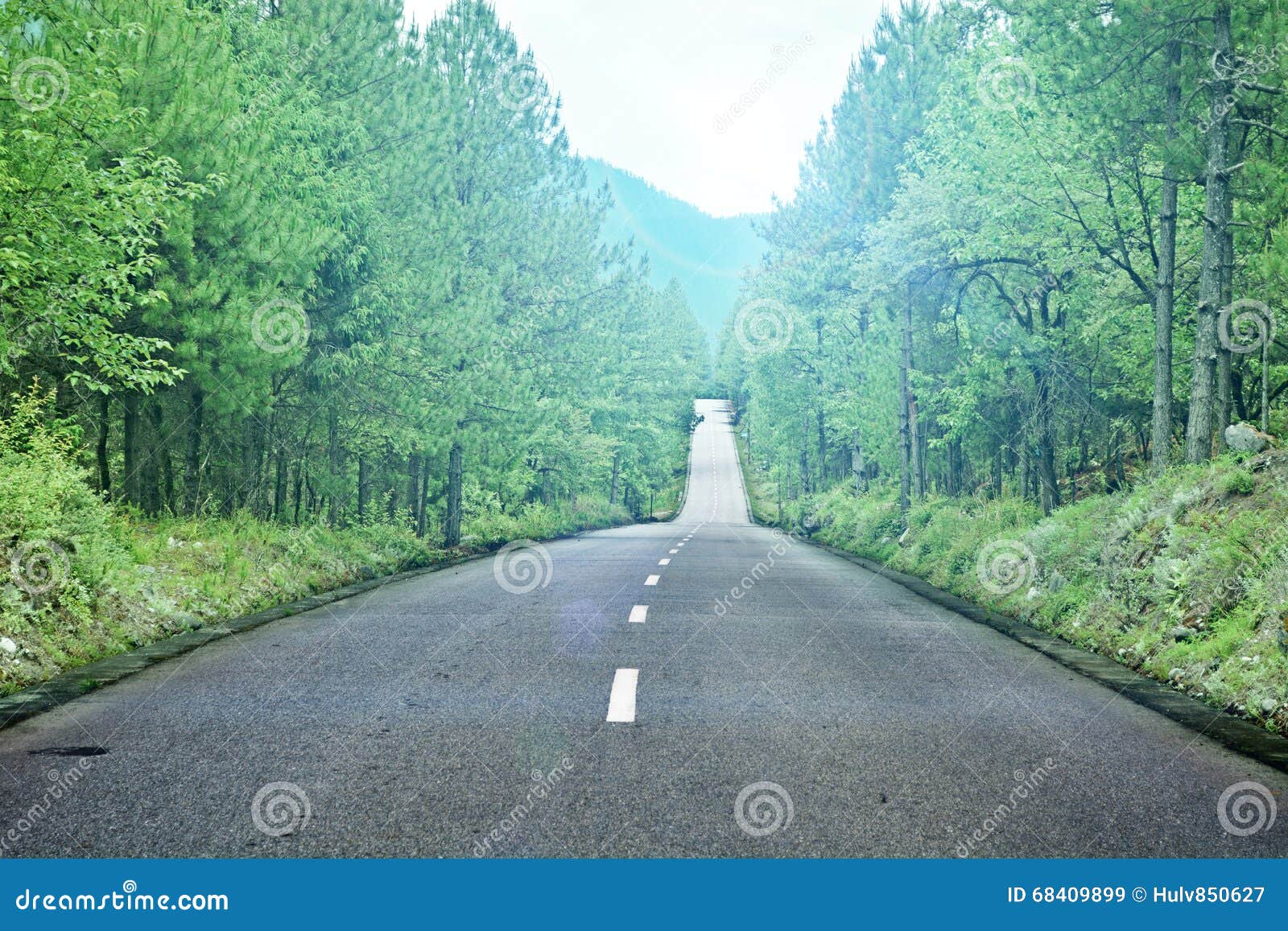 Asphalted road (spring) stock image. Image of line, forest - 68409899