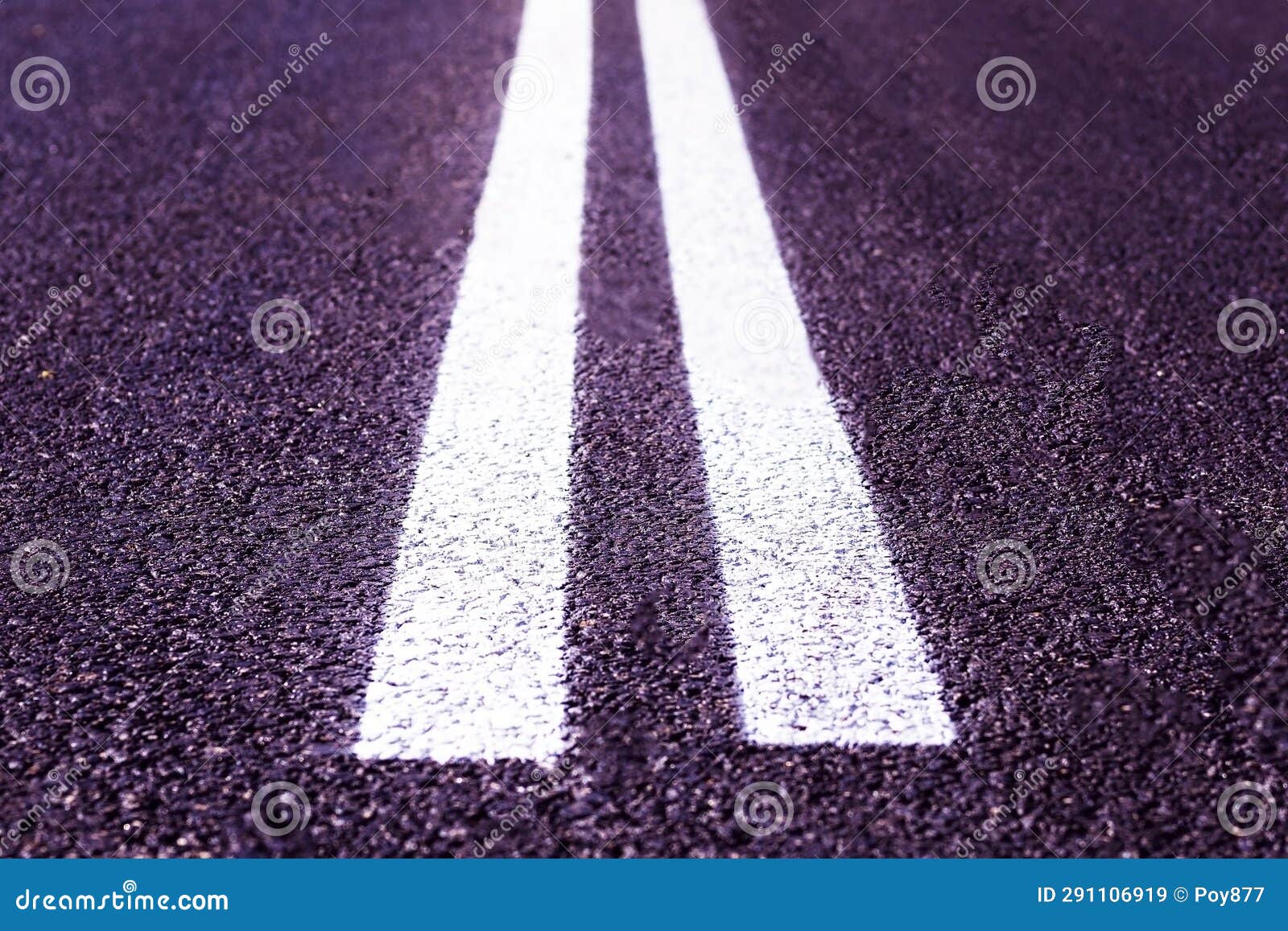 The Asphalted Road with White Strips. the Highway with a White Marking ...