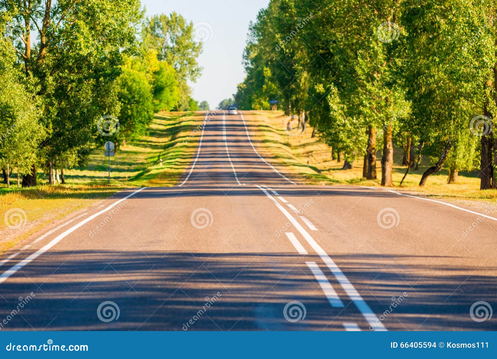 Asphalted suburban road stock photo. Image of grass, empty - 66405594