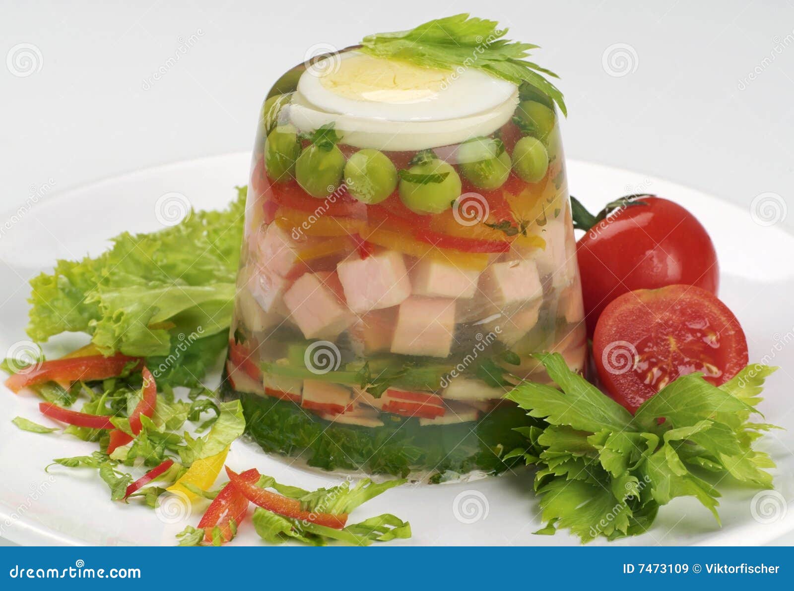 Aspic stock image. Image of gelatin, plate, aspic, tomatoes - 7473109