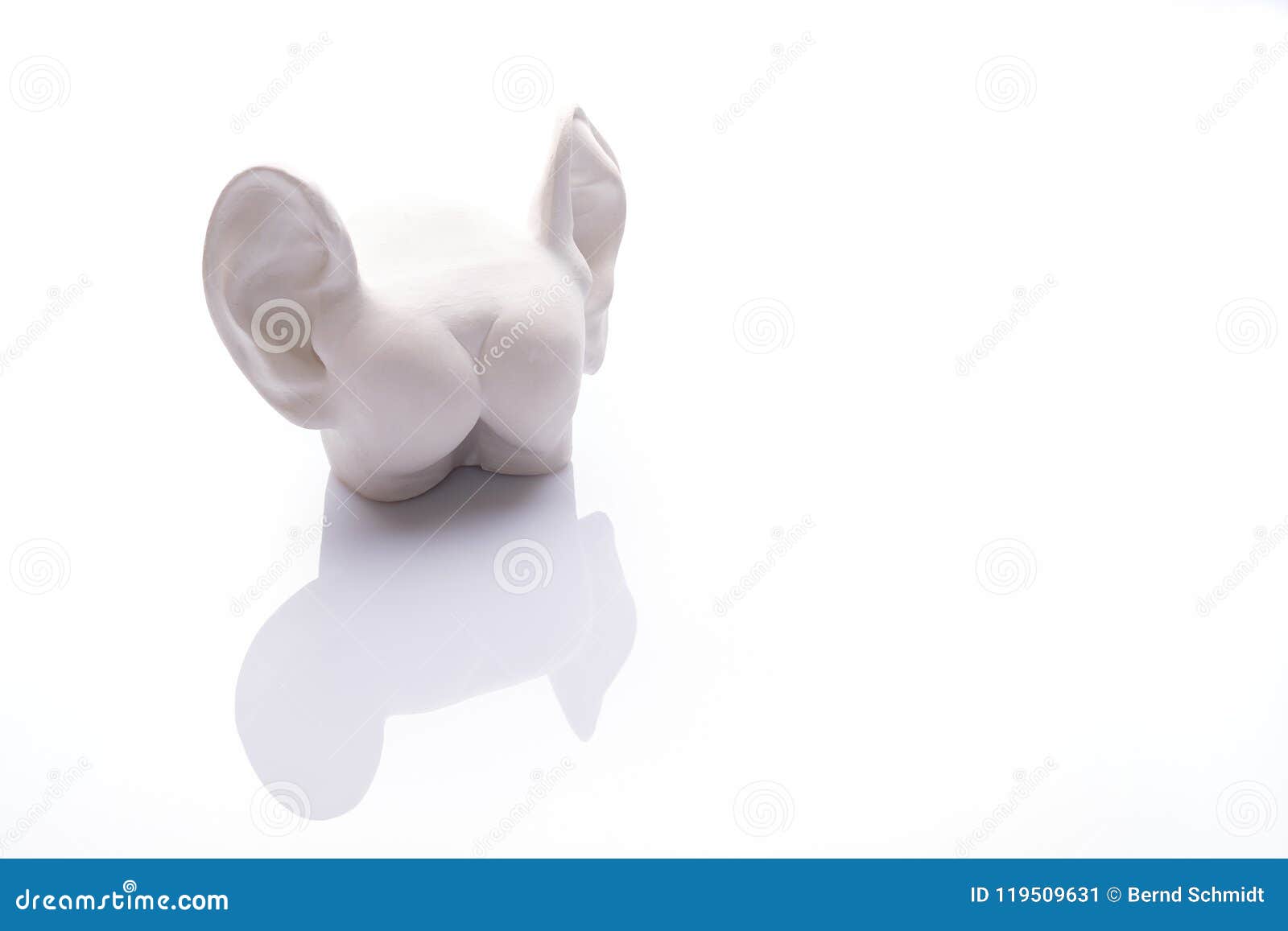 With ears white isolated stock image. Image of type - 119509631