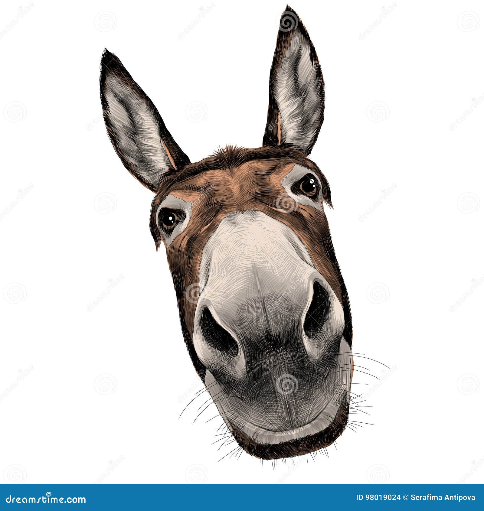 Stubborn Mule Drawing