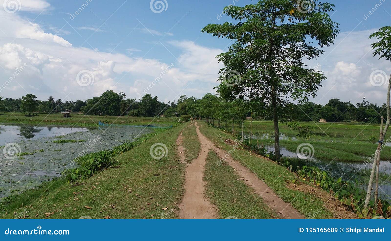 Assam Village Local Public Road Stock Image - Image of soil ...