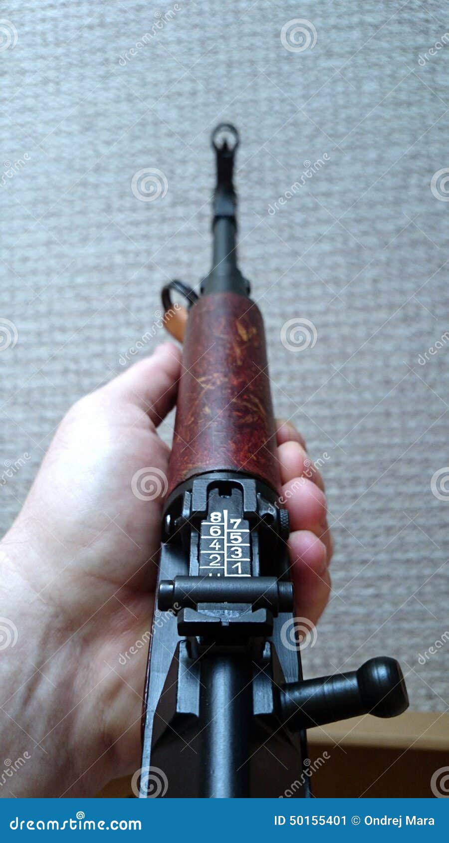 Assault rifle stock image. Image of slovakia, sa58, warfare - 50155401