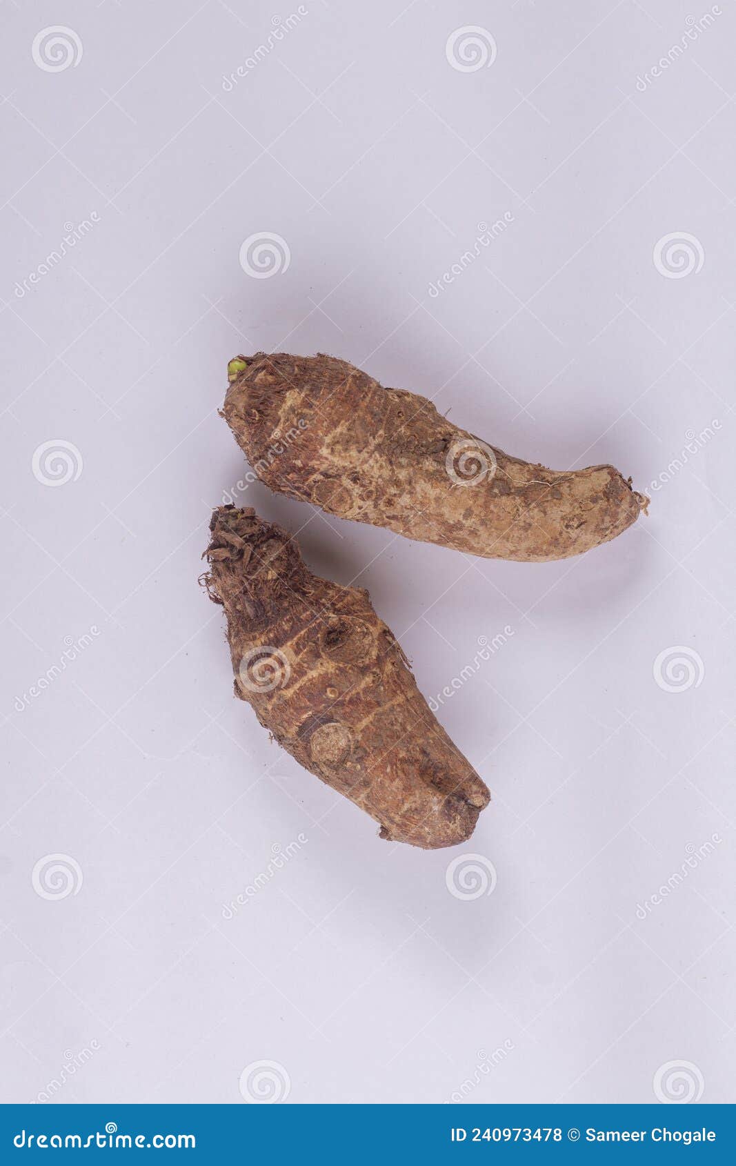 Assava Tubers Fresh On Isolated White Pile Cassava Manioc In Top View Yucca Root For Flour