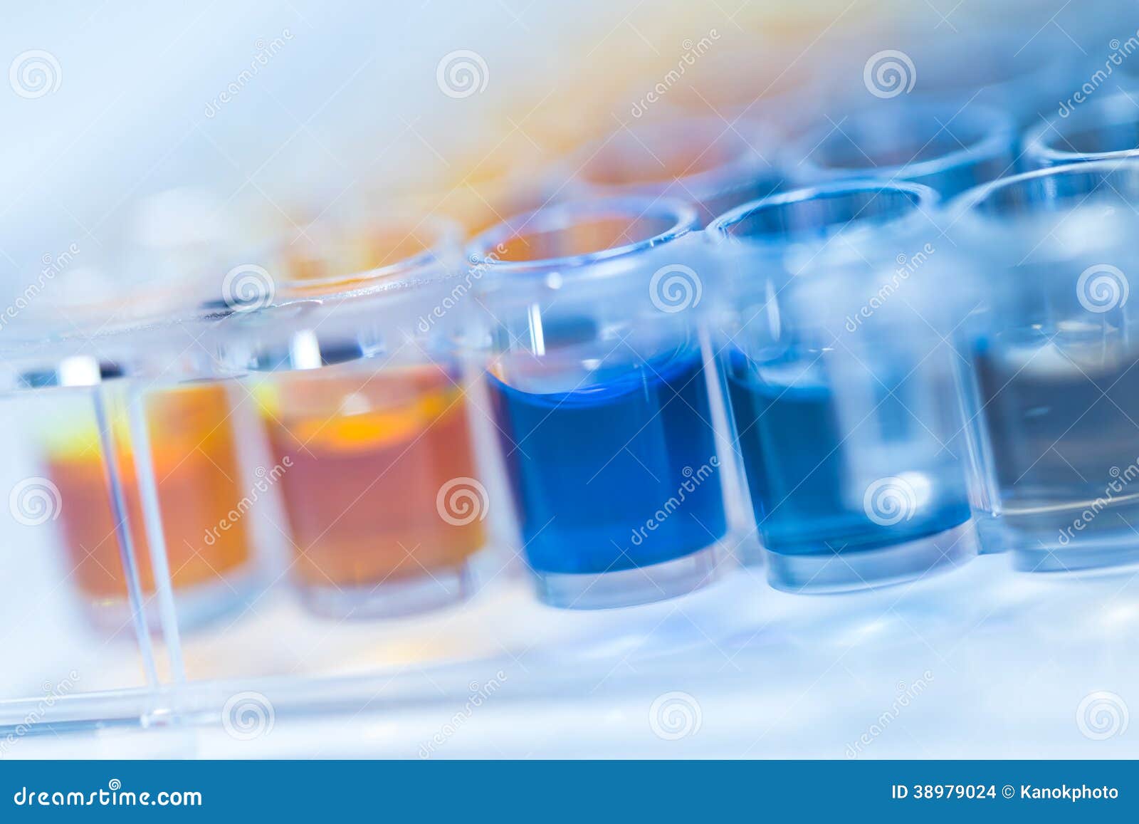 Assay Plate 96 Well with Colourful Buffer Stock Photo - Image of ...