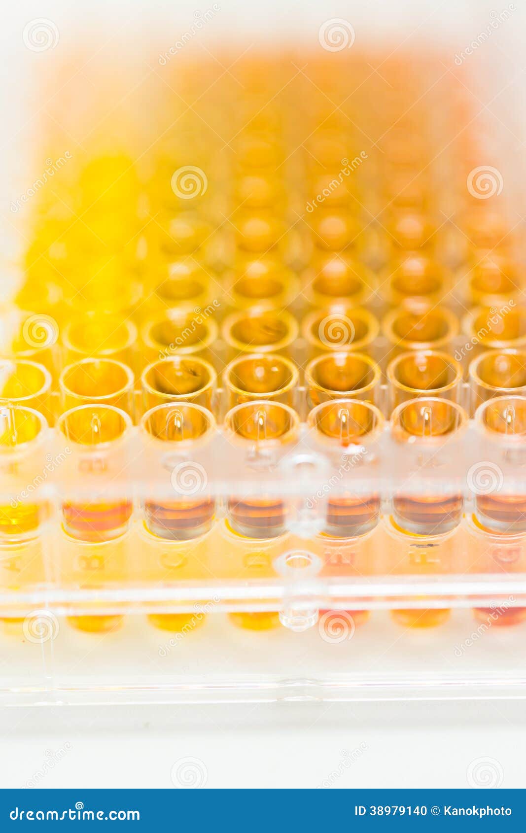 Assay Plate 96 Well with Colourful Buffer Stock Photo - Image of ...