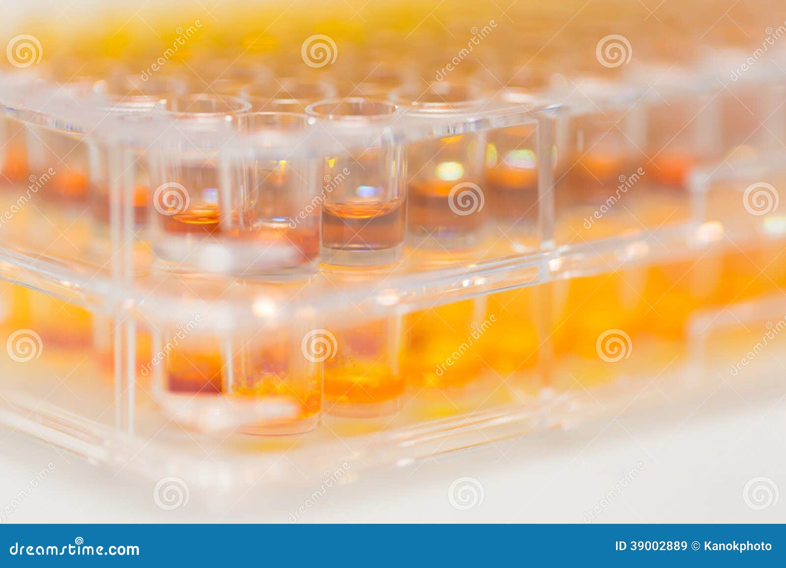 Assay Plate 96 Well with Colourful Buffer Stock Image - Image of multi ...