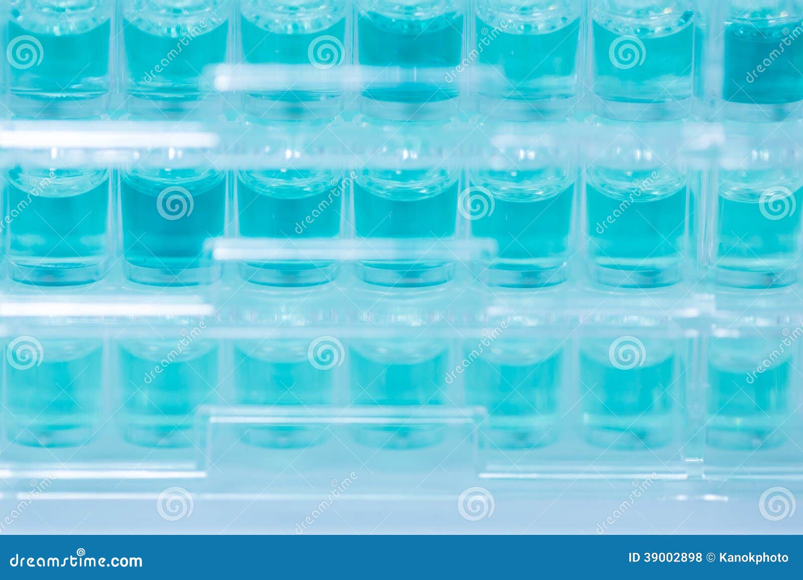 Assay Plate 96 Well with Colourful Buffer Stock Photo - Image of 96well ...