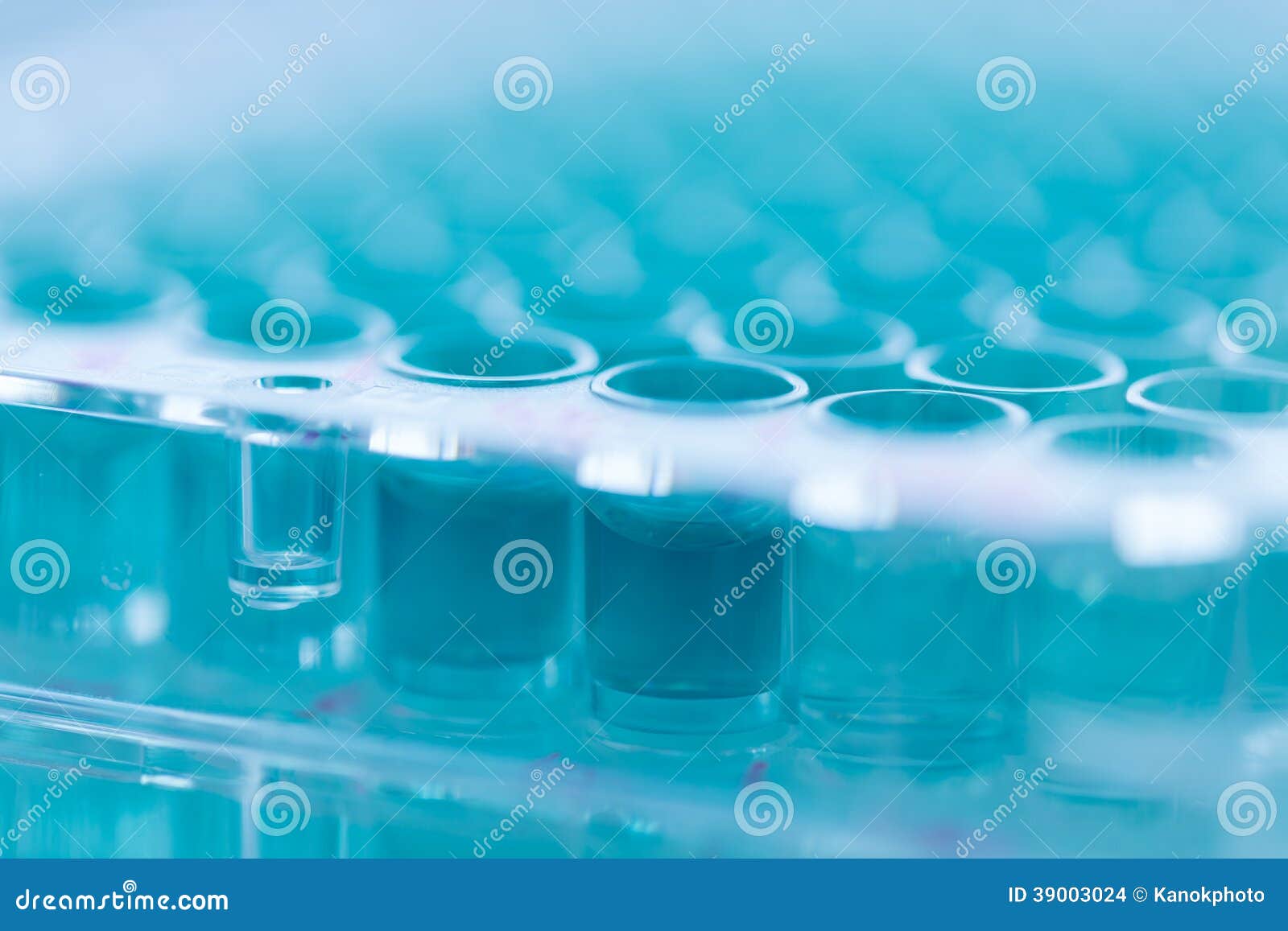 Assay Plate 96 Well with Colourful Buffer Stock Photo - Image of ...