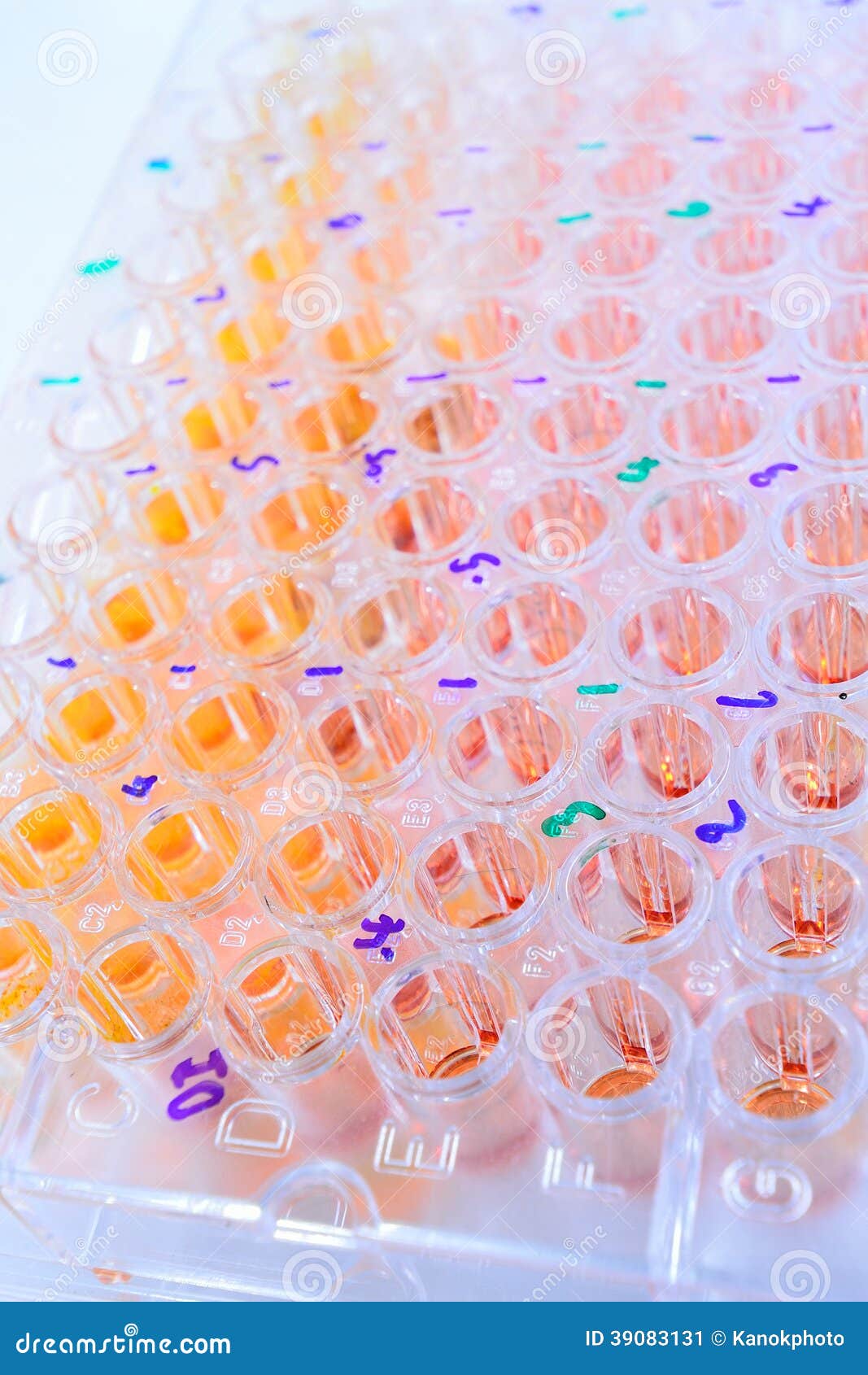 Assay Plate 96 Well with Orange Buffer Stock Image - Image of routine ...
