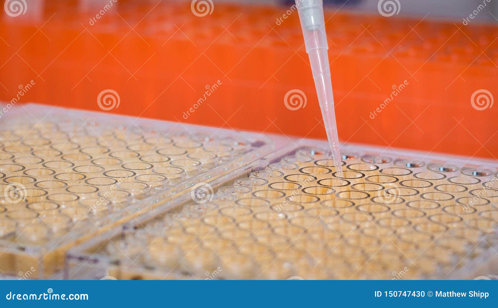 Assay Tray Loading Royalty-Free Stock Photography | CartoonDealer.com ...