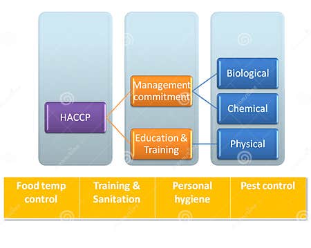 Assemble haccp team stock illustration. Illustration of sanitation ...