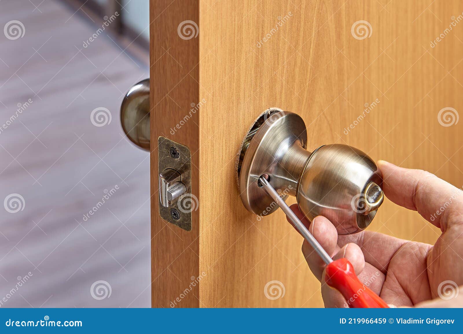 Assembly of Lock with Handles and Latch for an Interior Door. Stock ...